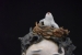 Figurative Ceramic Sculptures - an art studio by Artist Edrian Thomidis